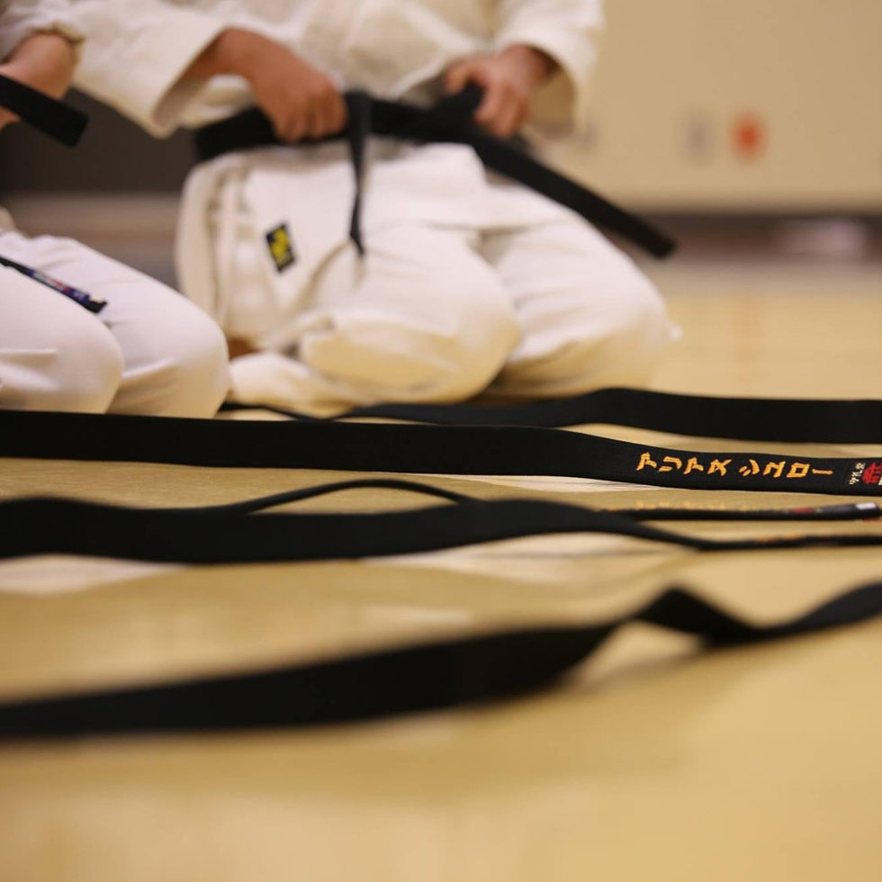 Black Belt Martial Arts Training Program in Jefferson, GA | Lu Karate